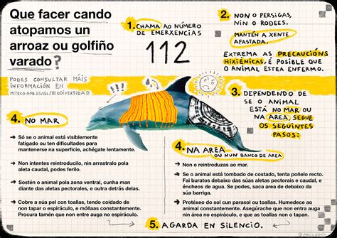 Infografía Ambiental Behance
