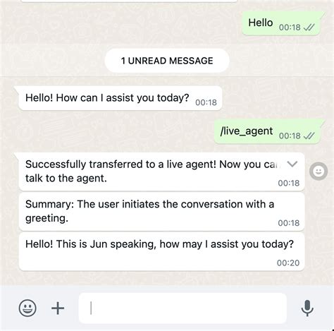Whatsapp Seasalt Ai