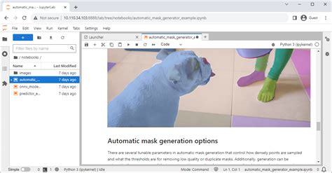 Sam Nvidia Jetson Ai Lab