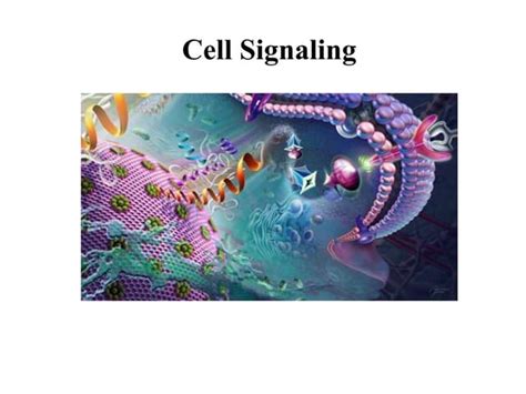 6 Rtk Signaling Mapk Aktpdfcell Signaling Presentation Pdf
