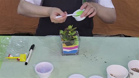 색모래 테라리움 만들기 Youtube