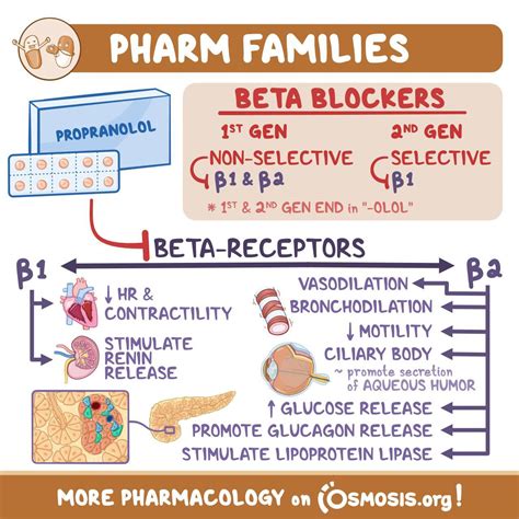 Osmosis From Elsevier You Beta Blocker Or Shell Get Your Heart