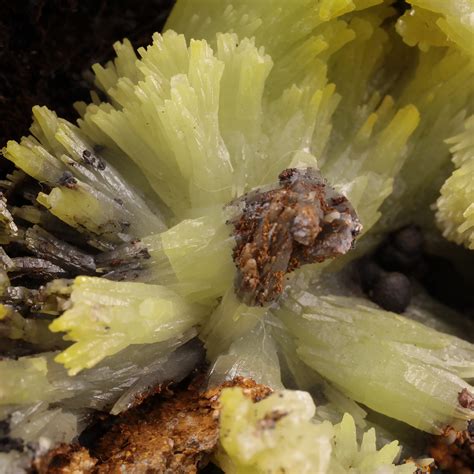 Pyromorphite Fine Historic Specimen Mexico Mine Roughton Gill