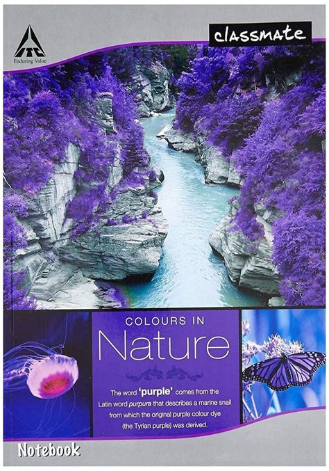 304 Pages Classmate A4 Single Line Note Book At ₹ 120piece Classmate Notebook In New Delhi