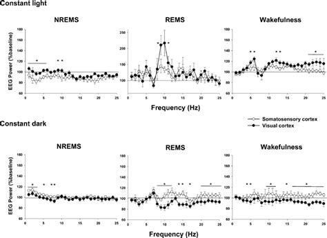 Effects Of Constant Light And Constant Dark On The Eeg Power Spectrum