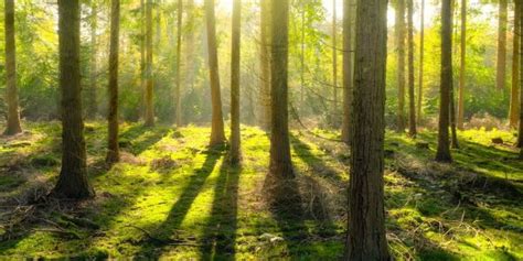 Octoperf On Linkedin Performancetesting