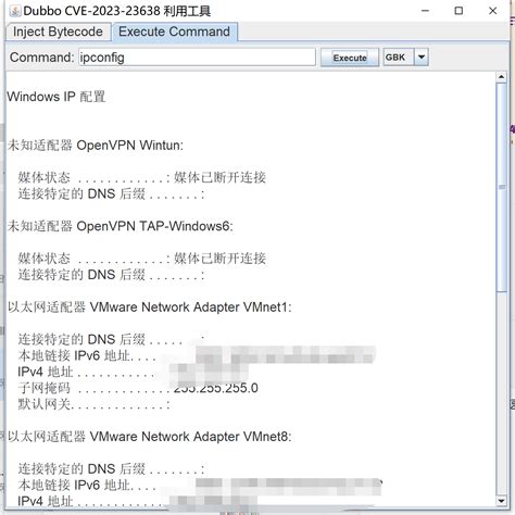 apache dubbo反序列化漏洞（cve 2023 23638）完整利用及工程化实践 lh s blog