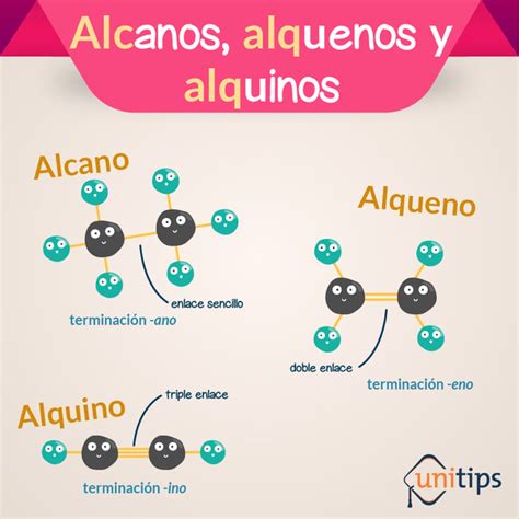 Contenido De Examen Unam Alcanos Alquenos Y Alquinos