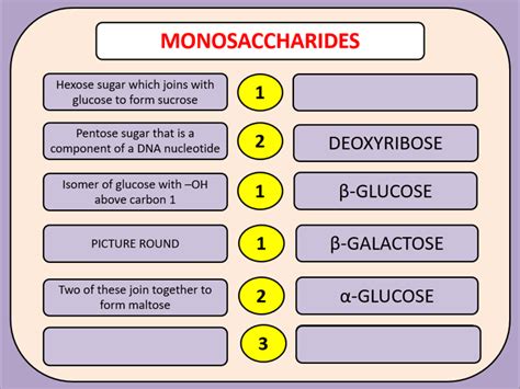 Monosaccharides Aqa A Level Biology Teaching Resources