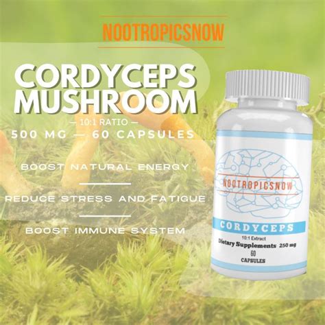 Unlocking Benefits Of Cordyceps Mushroom A Health Guide Nootropicsnowph
