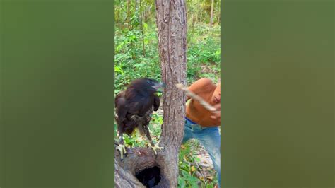 ៦ មករា ២០២៥ Youtube