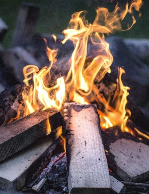 Imagen Gratis Llama Calor Chimenea Hoguera Quemar Leña Quemados