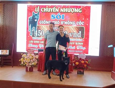 Xôn xao vụ mua bán chó H Mông Cộc giá 450 triệu đồng Báo Dân trí