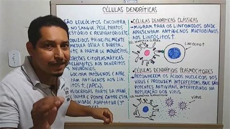 Todo Lo Que Necesitas Saber Sobre El Polipéptido Estructura Función Y Aplicaciones Escuela