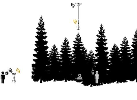 Tree Sampling Vegetation Sampling Methods Forest Drone