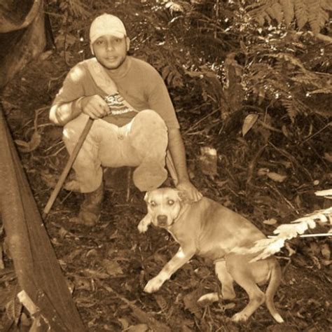 Alexandre Missassi Ph D Biodiversity And Evolution Museu Paraense Emilio Goeldi Mpeg Belém