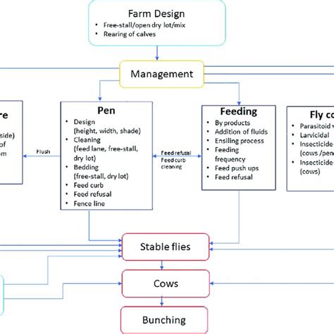 Causal Diagram For The Explanatory Variables That Guides The