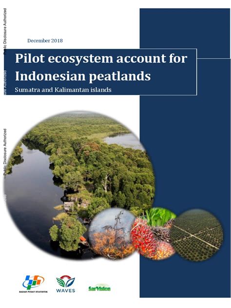 2018 Pilot Ecosystem Account For Indonesian Peatlands Sumatra And