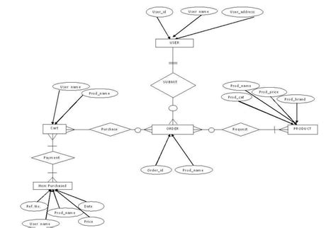 Create An Erd For Your Website Database Identify The Entities