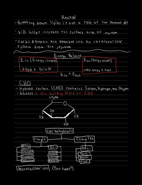 Lecture 6 Intro To Cho Review Breaking Down Lipids Is Not A Role Of