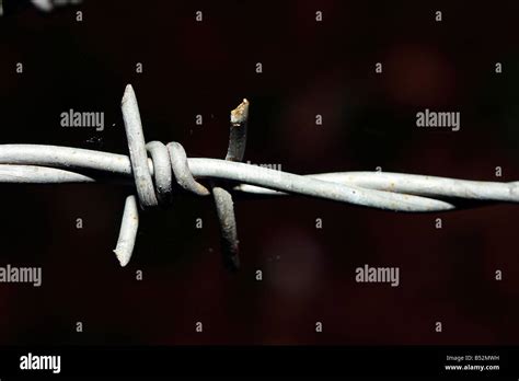 Barbed Wire Photos Hi Res Stock Photography And Images Alamy