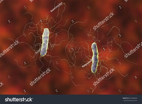 Clostridium Difficile Bacterium 3d Illustration Bacteria Stock