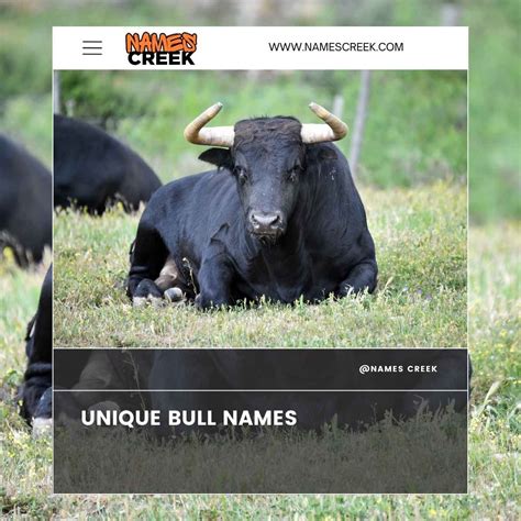 The Ultimate Guide To Mammal Names