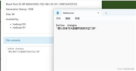 Hdfs Java Api的应用使用hdfs 的java Api 进行编程 1获取自己hdfs集群下的所有文件和目录 Csdn博客