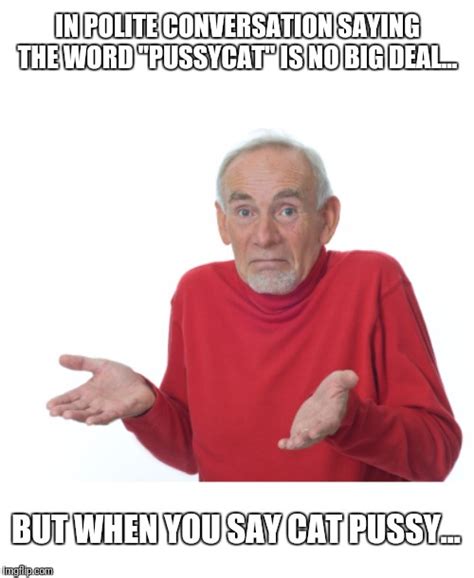 Cat Meme Imgflip