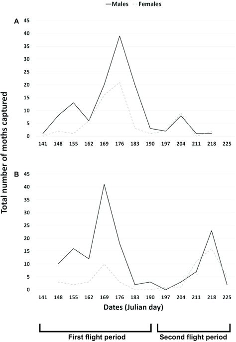 Armyworm Lepidoptera Noctuidae In The Province Of Quebec Canada