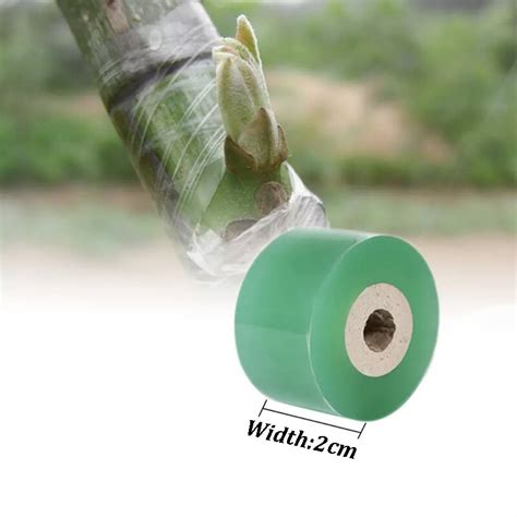 Garden Tree Nursery Seedle Floristry Pruner Plant Vicedeal