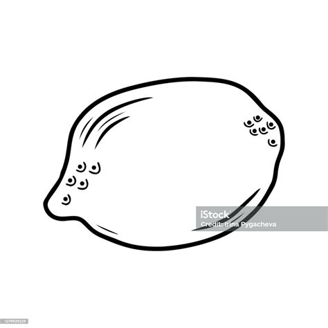 흰색 배경에 고립 된 손으로 그린 감귤류 과일 레몬 낙서 간단한 개요 그림 그것은 직물 종이 및 기타 표면의 장식에 사용할 수 있습니다 0명에 대한 스톡 벡터 아트 및 기타