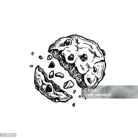 부스러기가있는 초콜릿 칩 쿠키 맨 위 보기입니다 손으로 그린 스케치 스타일 신선한 구운 미국 비스킷 흰색 배경에서 격리된 벡터