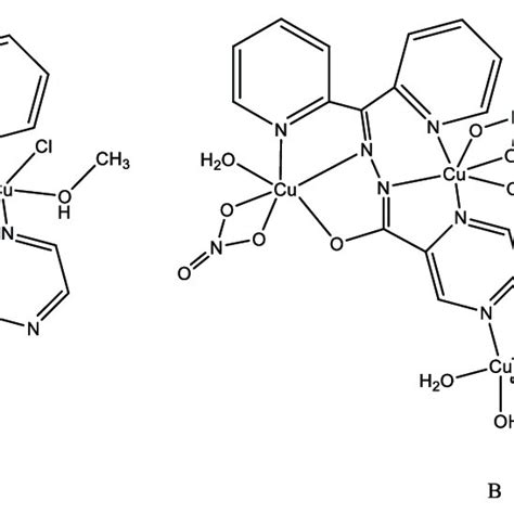 Structure Of The Copperii Complexes Derived From Aroylhydrazone
