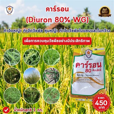 คาร์รอน Diuron 80 Wg กำจัดหญ้า วัชพืช คุมหญ้า กำจัดวัชพืชใบแคบและใบกว้าง ในนาข้าว Shopee