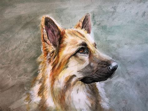 Sabre Tracey Larkin Design