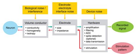 Figure 1 From Revealing Neuronal Function Through Microelectrode Array