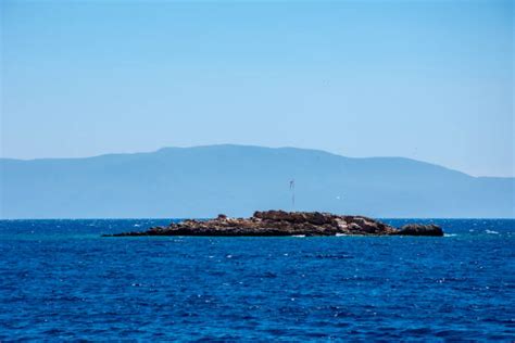 20 Samall Fotografías De Stock Fotos E Imágenes Libres De Derechos Istock