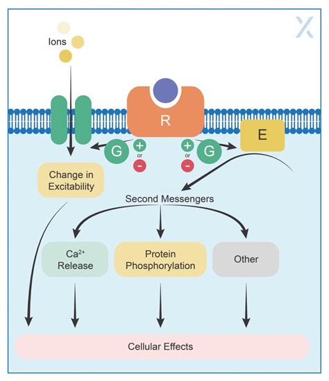 Cbehx On Linkedin Science Biology Education Research Medicine
