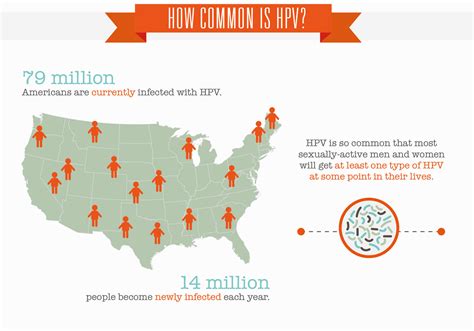 What You Should Know Human Papillomavirus Hpv Mybiosource