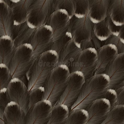 A Pattern Of Overlapping Brown Feathers Each With Fine Intricate