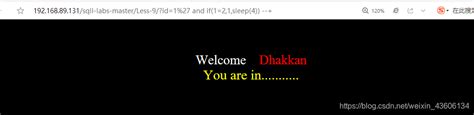 sqli labs master第九关 第十关（时间延迟注入） sqli labs 时间盲注脚本第九关 csdn博客