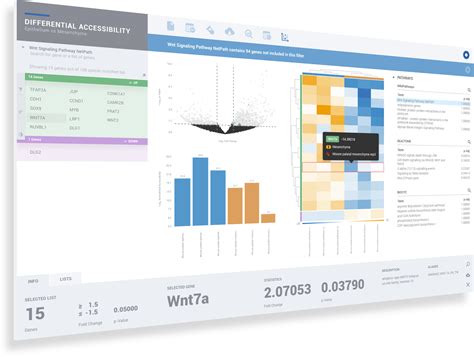 Chromatin Accessibility Data Analysis