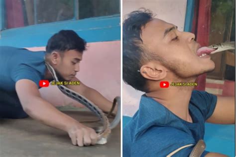 सांप संग रोमांस करता है ये शख्स मुंह के अंदर डाल देता है जीभ डसने की