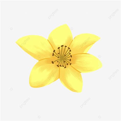水彩花卉png免摳圖 卡通素材 可愛 鮮花素材圖案，psd和png圖片免費下載