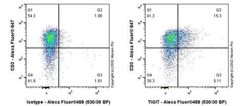 Anti Tigit Antibody [4d4] Ab289547 Abcam