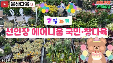울산다육 4월10일 화요일 판매방송 진행합니다 ️ 울산다육 다육이 Succulent 선인장 화분 원예용품 꽃 식물 유튜브 라이브 실시간 판 Youtube