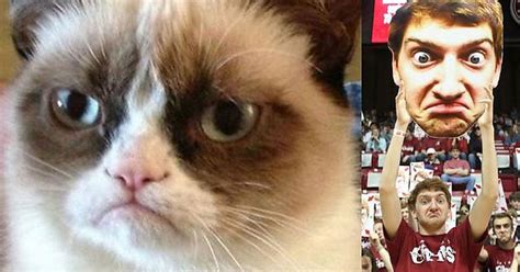 Grumpy Cats True Owner Imgur