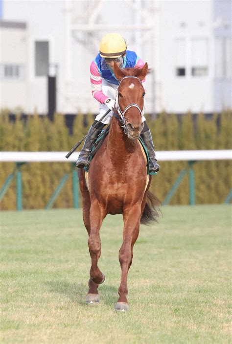 ウォーターリヒト ― スポニチ Sponichi Annex ギャンブル