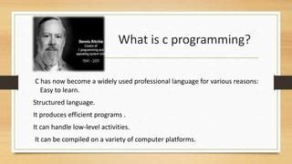 Basic C Structure And Related Terms With Example PPTX
